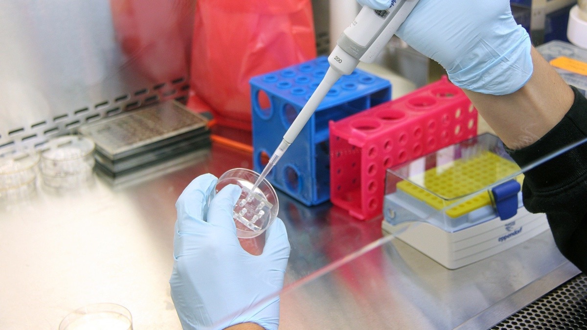 Raw Terror - Forensic Files (Season 1, Episode 13) - Apple TV