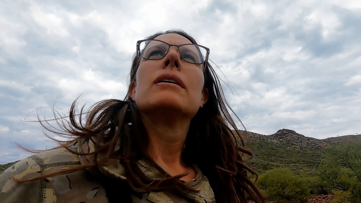 ‎The Tempest - Alone (Series 12, Episode 5) - Apple TV (IE)