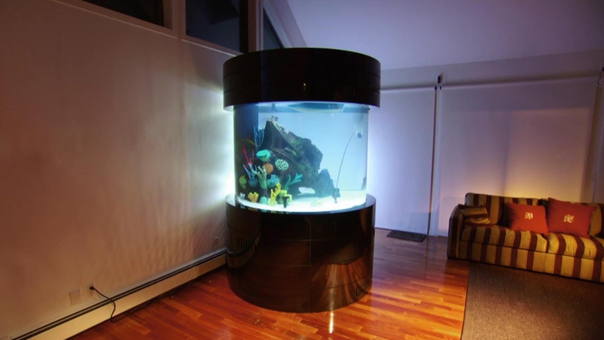 ‎Tracy and His Octopus - Tanked (Series 6, Episode 3) - Apple TV (AR)