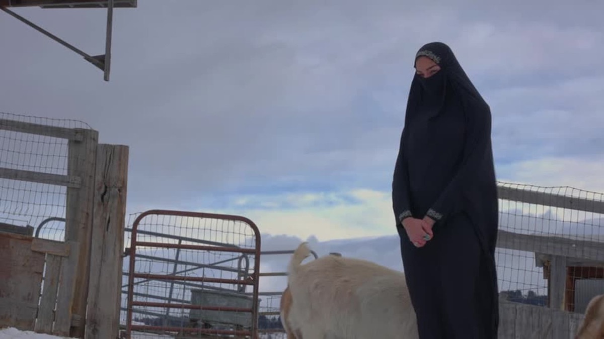 キル・ショット ネイビーシールズ & FSB特殊部隊 - Apple TV (日本)