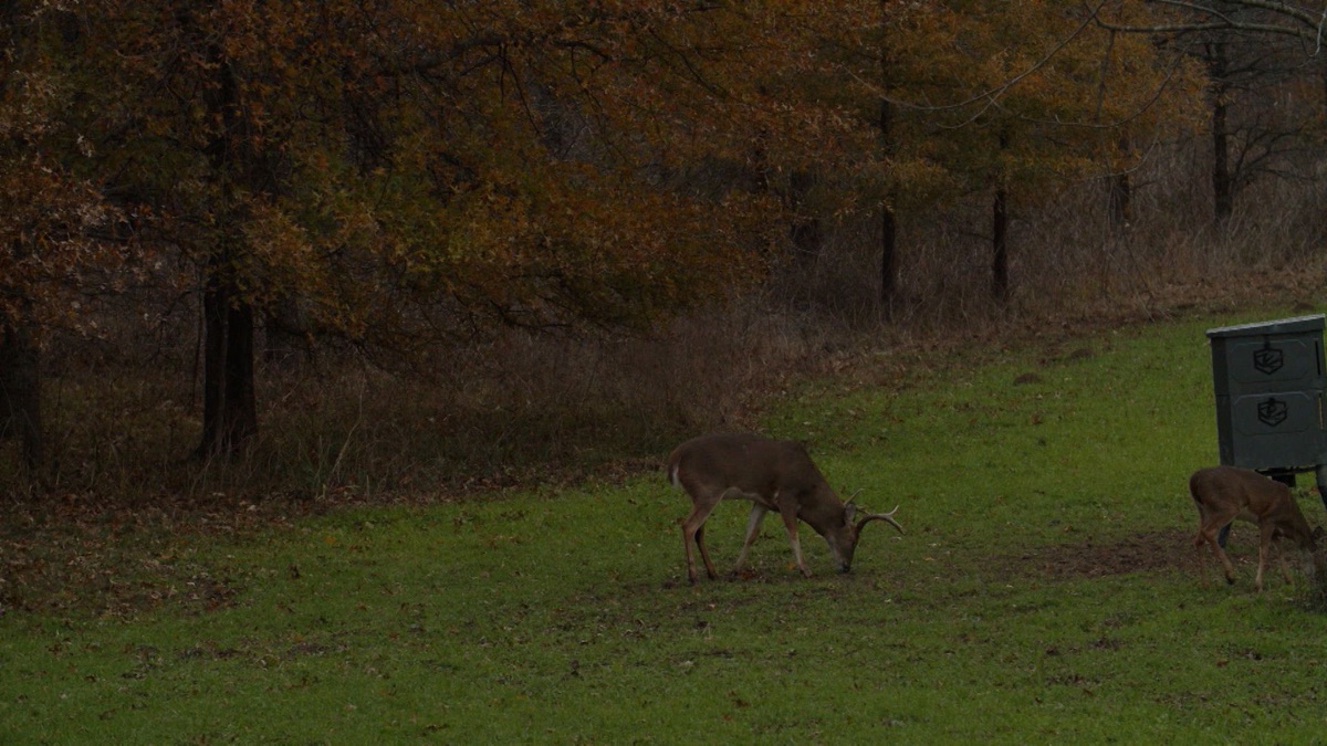 ‎December in the Mud Part 3 – Small Town Hunting (Season 10, Episode 11 ...