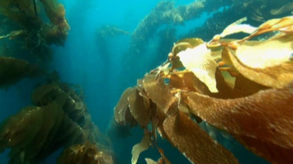 Lazy Days - Music Video by Paul Hardcastle - Shazam