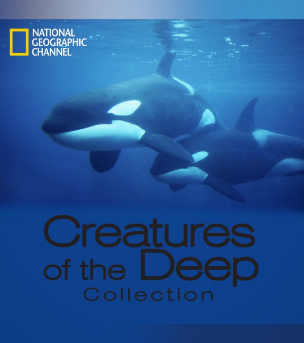 ‎Creatures of the Deep —Apple TV