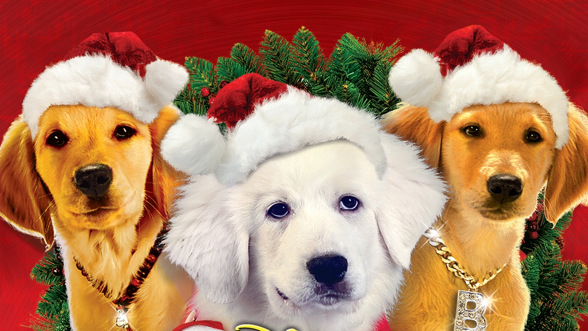 ‎Santa Buddies: The Legend of Santa Paws - Apple TV