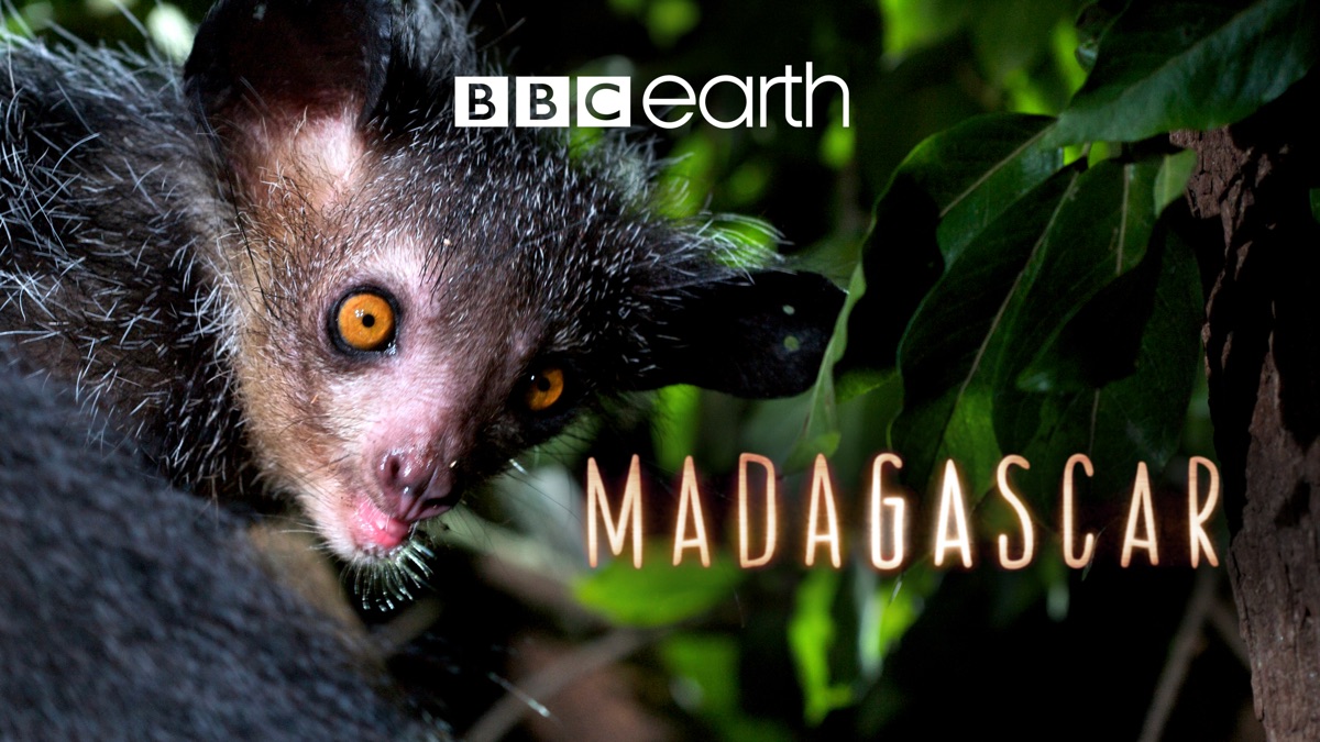 ‎Madagascar - Apple TV