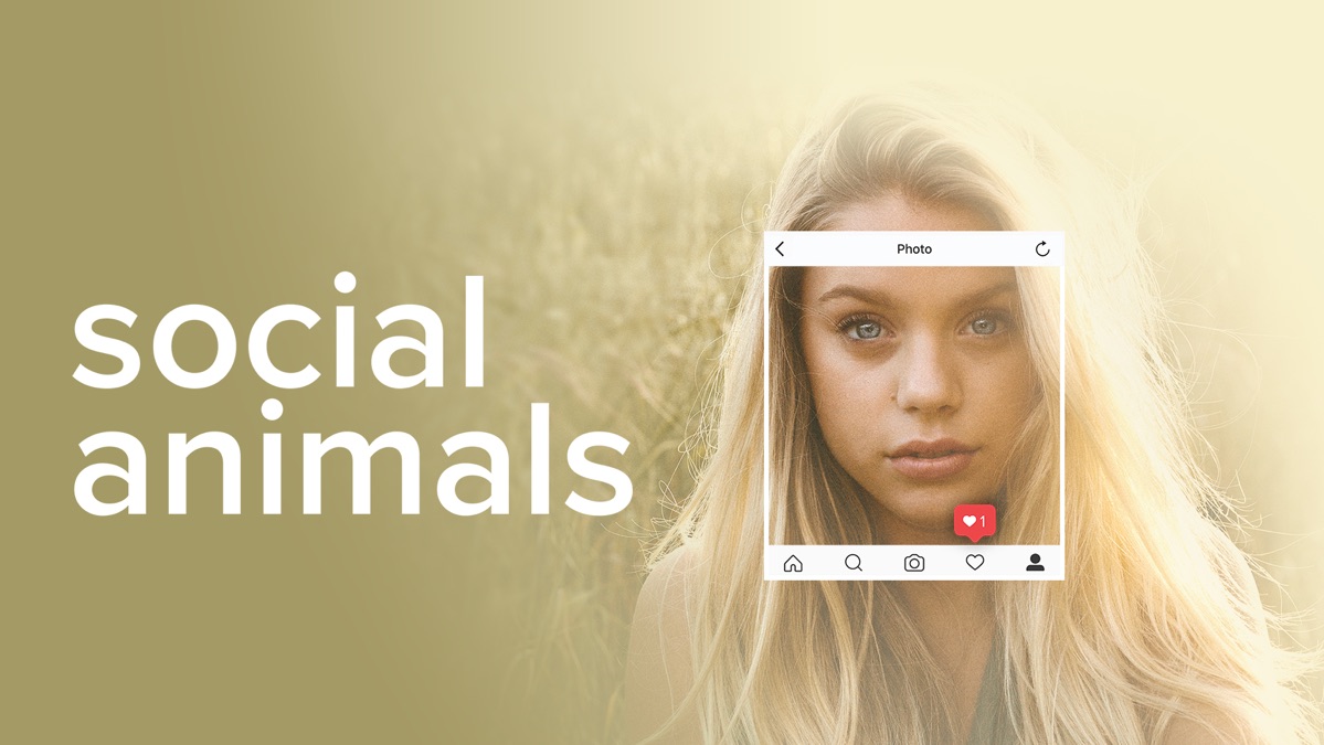 ‎Social Animals - Apple TV
