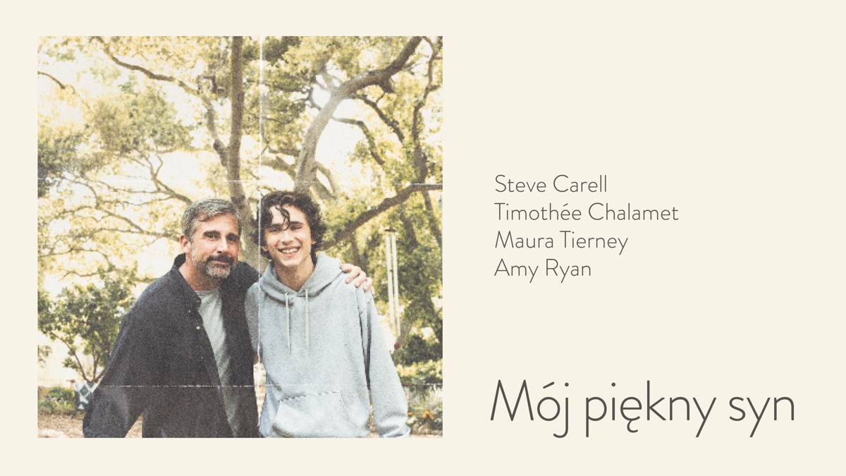 ‎Beautiful Boy - Apple TV