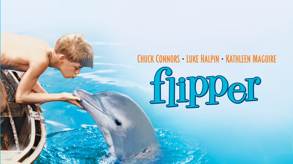 ‎Flipper —Apple TV