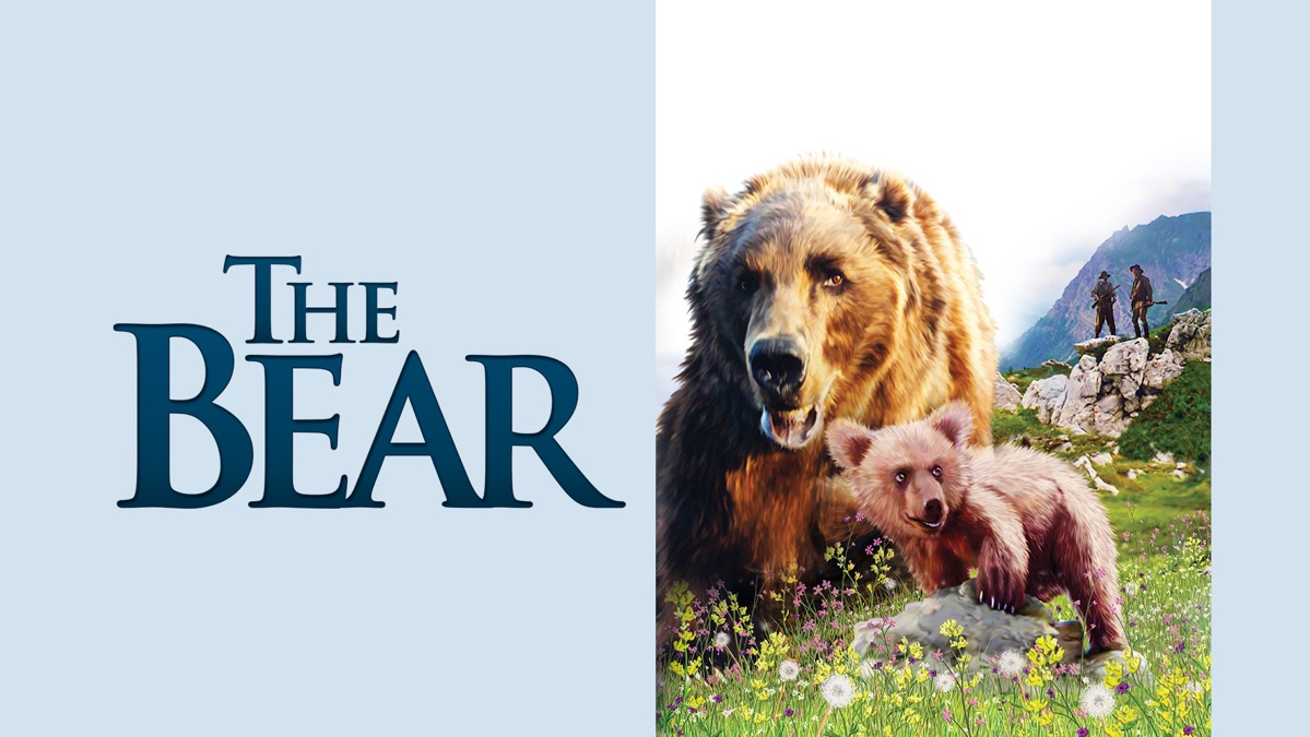 ‎The Bear - Apple TV