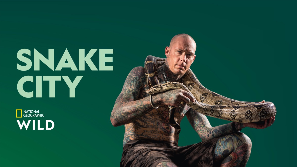‎Snakes In The City - Apple TV