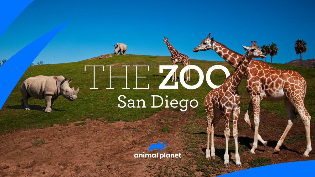 ‎The Zoo: San Diego - Apple TV