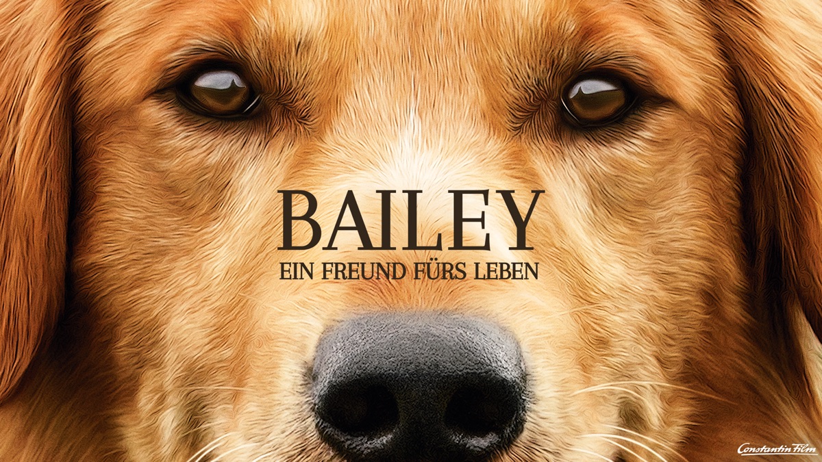‎Bailey - Ein Freund fürs Leben - Apple TV