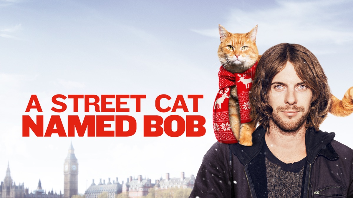 ‎A Street Cat Named Bob - Apple TV