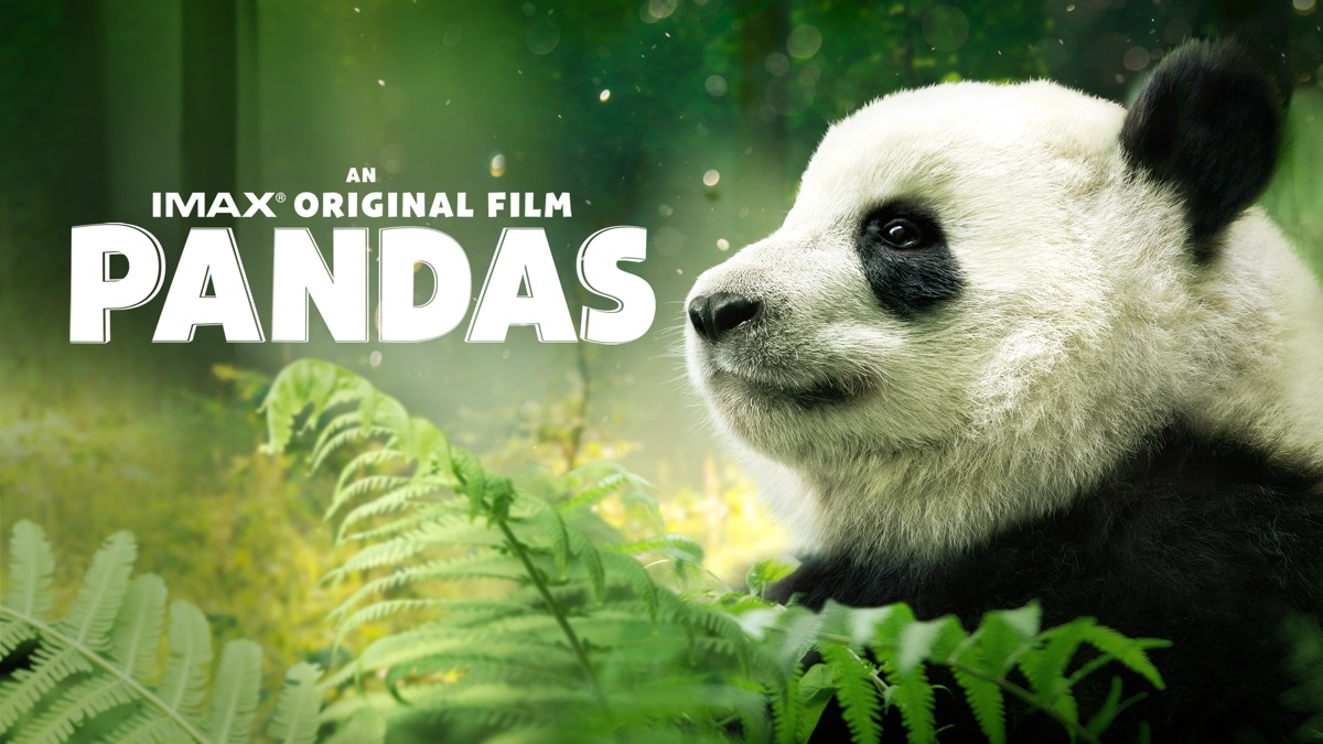 ‎Pandas - Apple TV