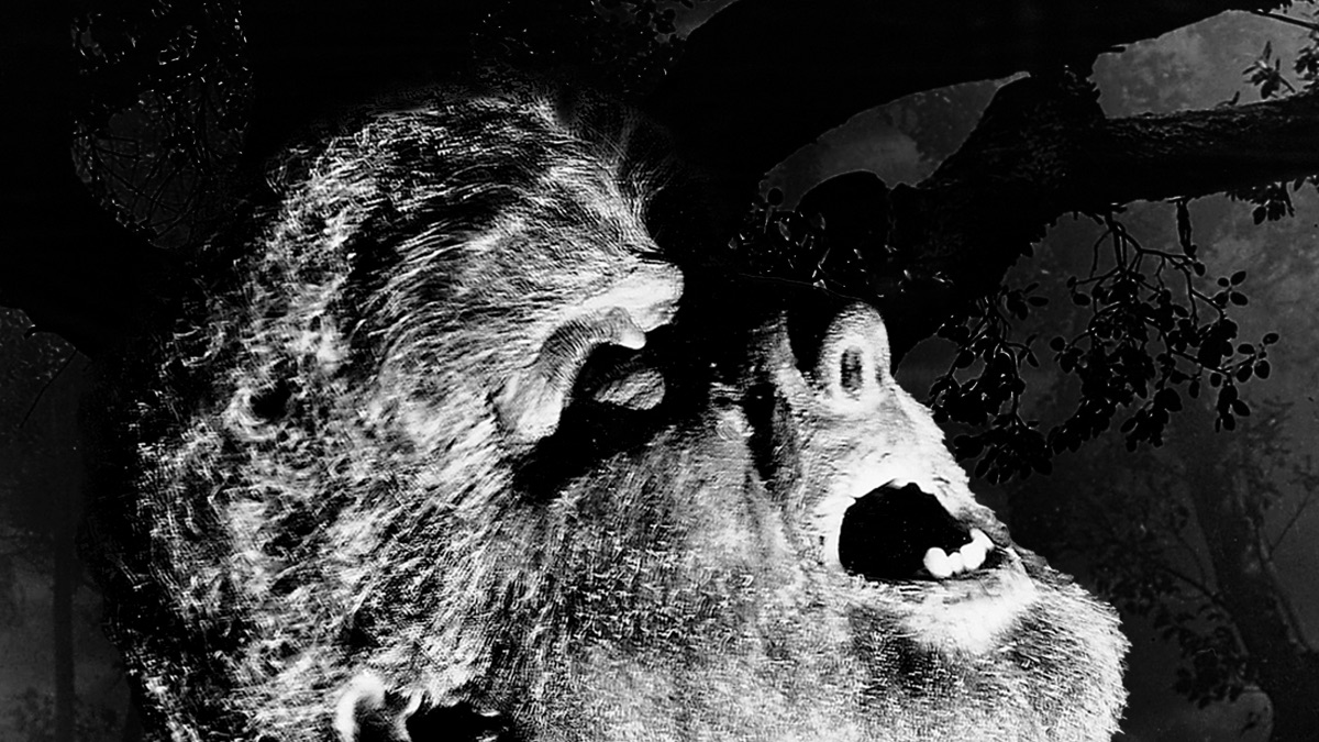 ‎The Wolf Man - Apple TV