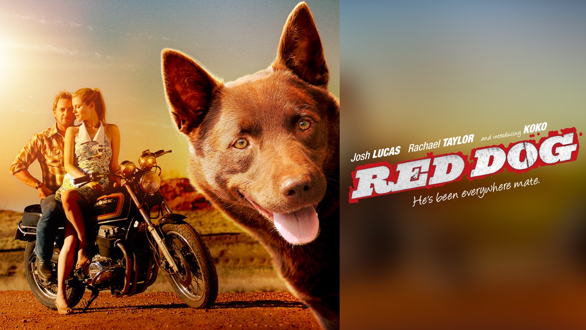 ‎Red Dog - Apple TV