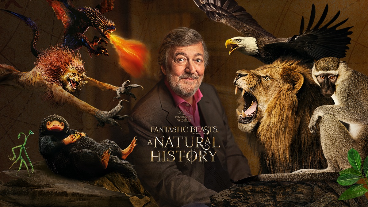 ‎Fantastic Beasts: A Natural History - Apple TV