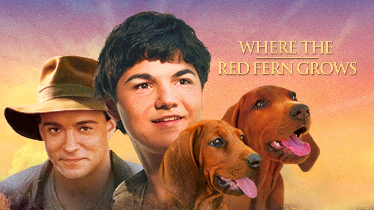‎Where the Red Fern Grows - Apple TV