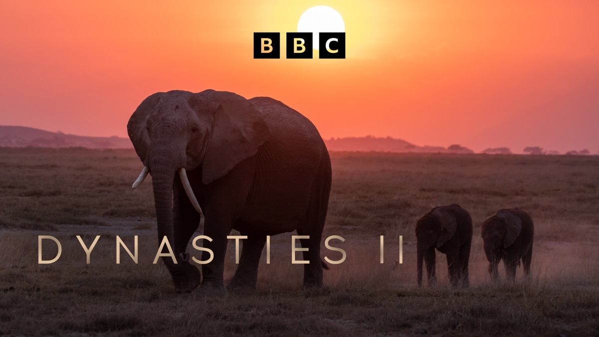 ‎Dynasties - Apple TV