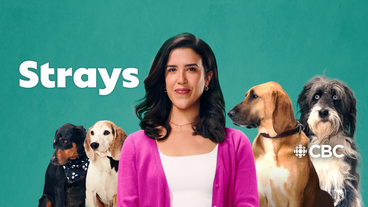 ‎Strays - Apple TV