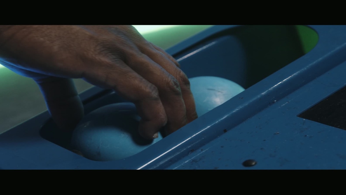 ‎Видеоклип «Heartbeat» — Tim Qualls — Apple Music