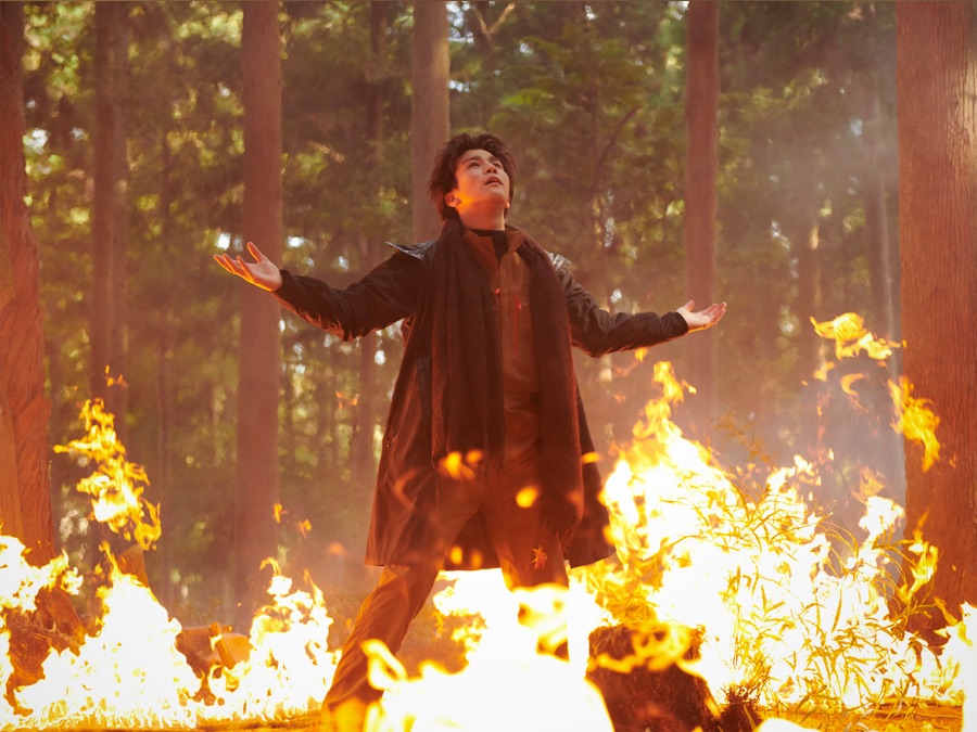 Vision - Apple TV (BR)