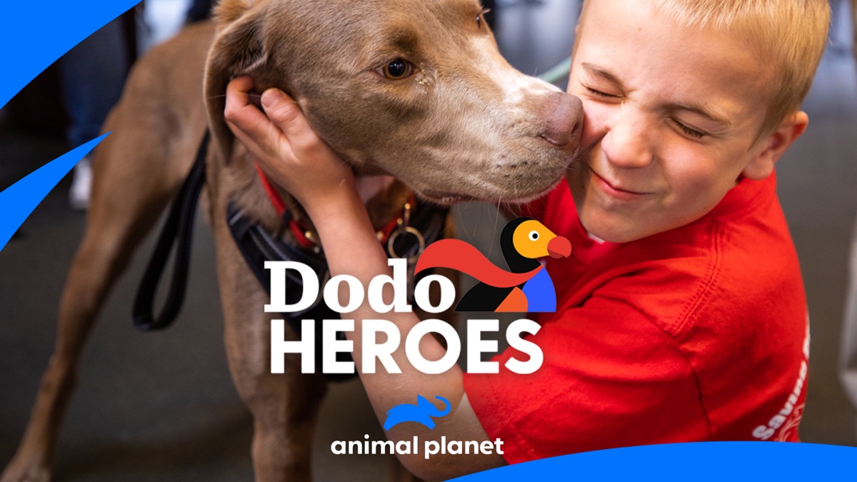 ‎The Dodo: en busca de héroes - Apple TV