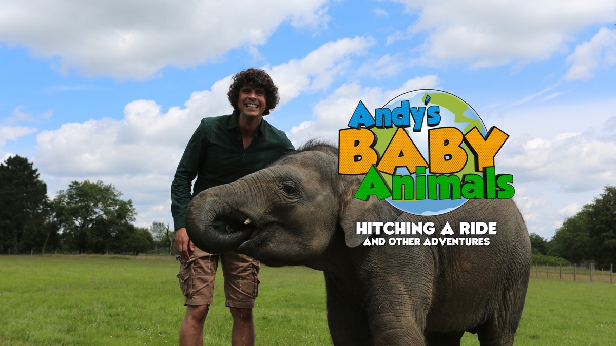 ‎Andy's Baby Animals - Apple TV