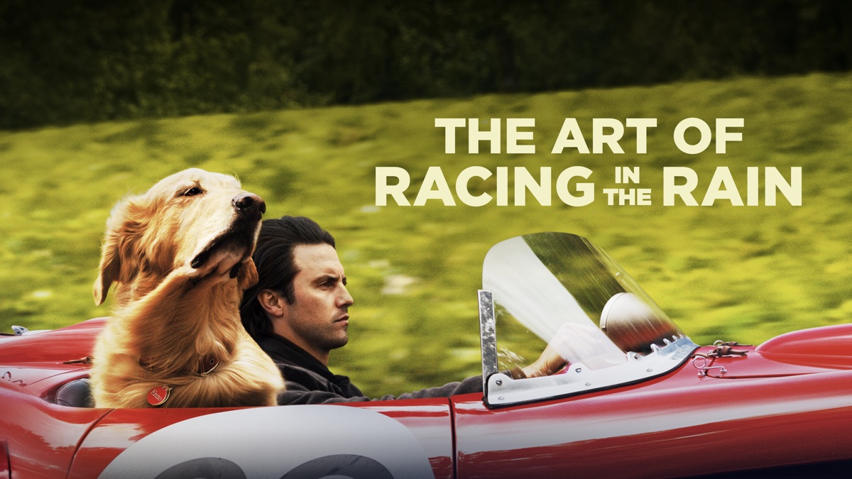 ‎The Art of Racing in the Rain - Apple TV