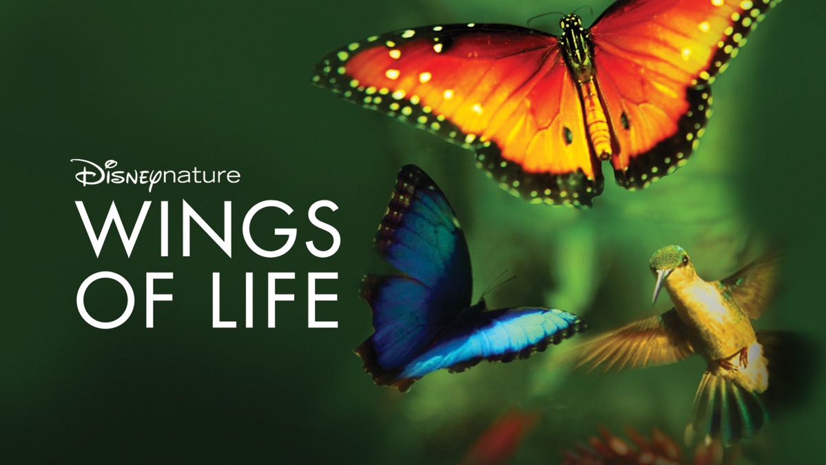 â ždisneynature Wings Of Life Apple Tv