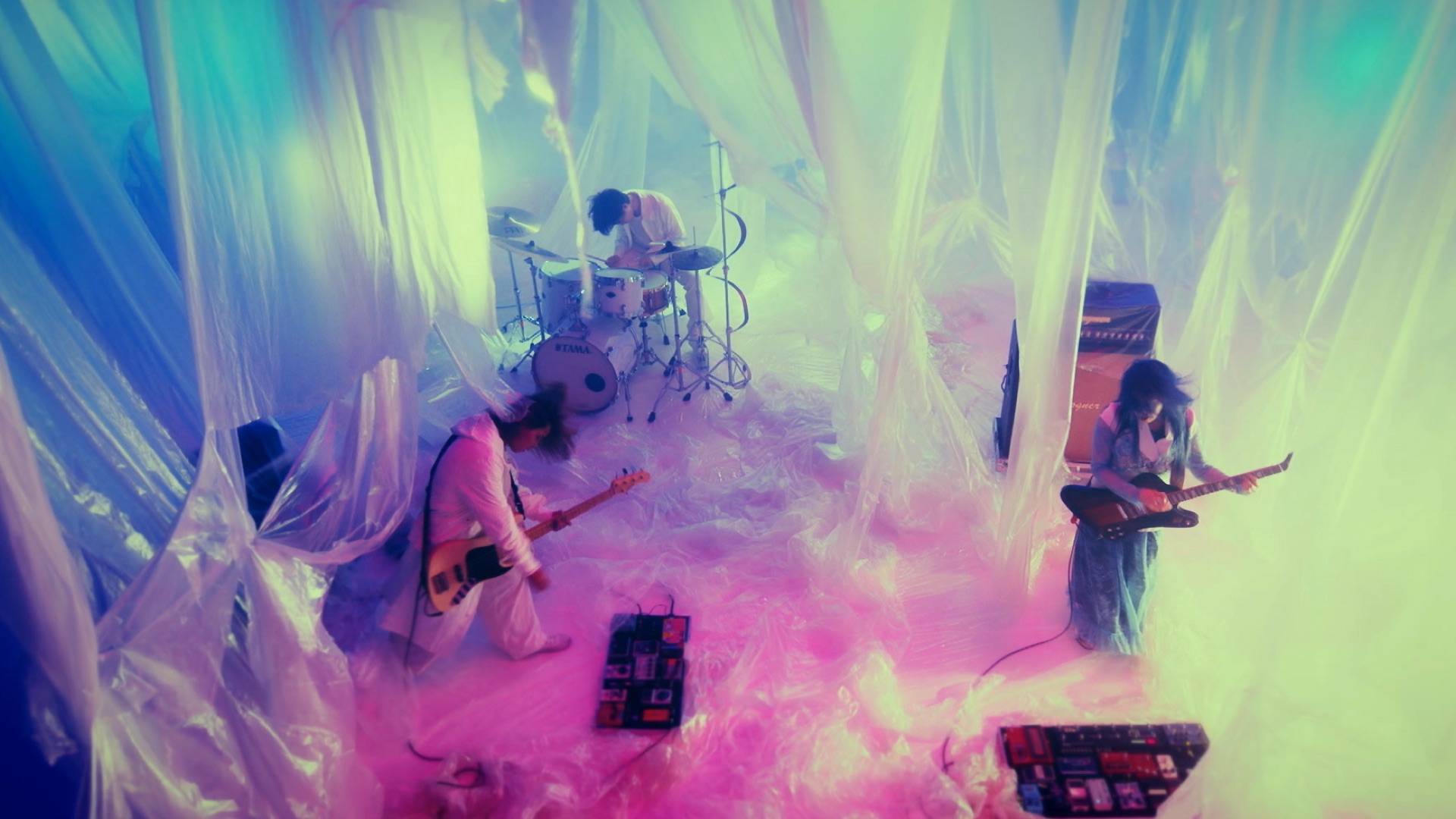 all because of flowers - Music Video by Cö shu Nie - Shazam