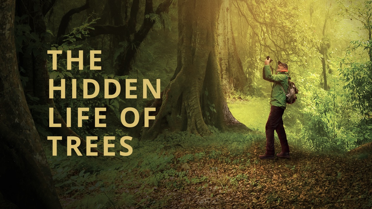 ‎The Hidden Life of Trees - Apple TV