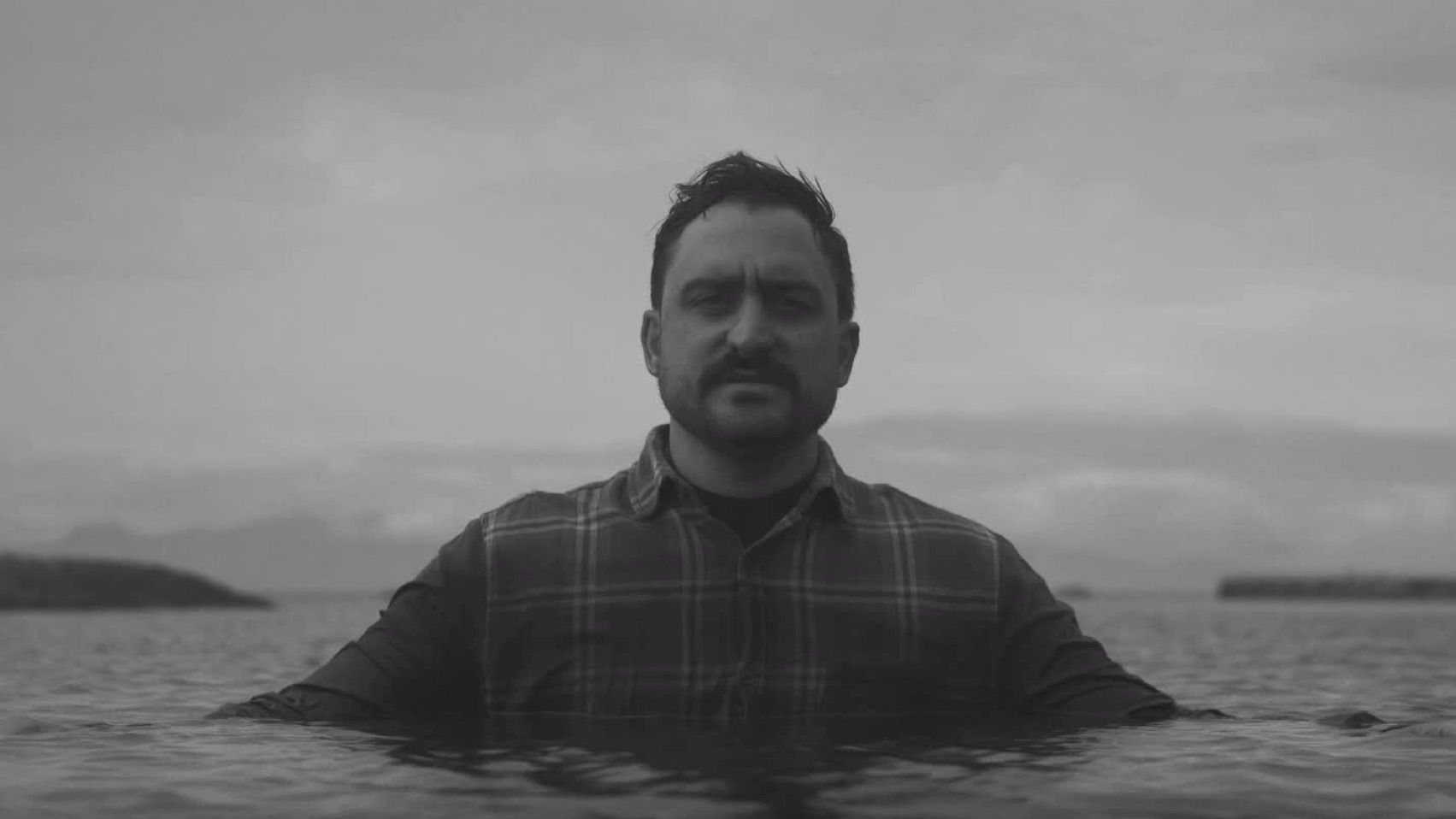 Tipuana Tree - Music Video by Bad Peter - Shazam