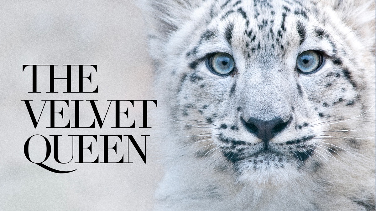 ‎The Velvet Queen - Apple TV