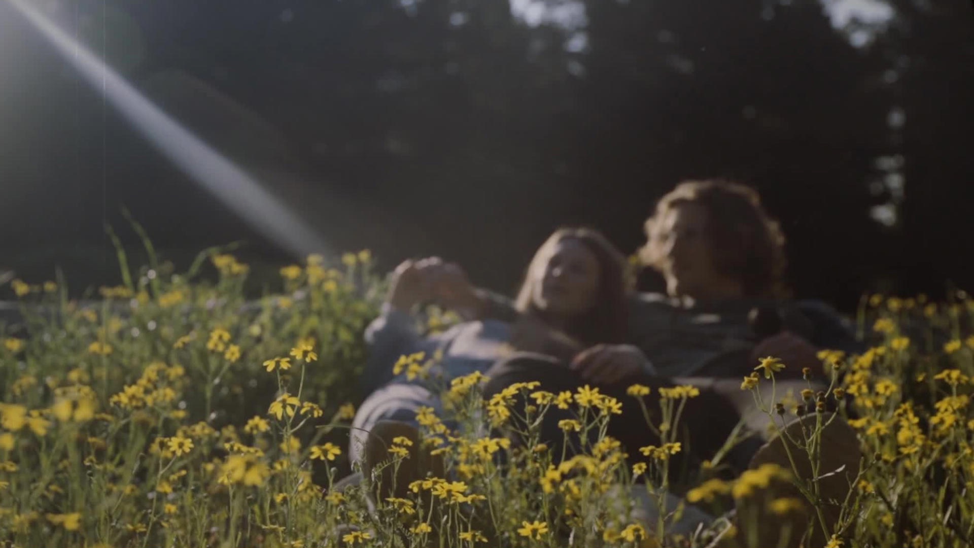 Tipuana Tree - Music Video by Bad Peter - Shazam