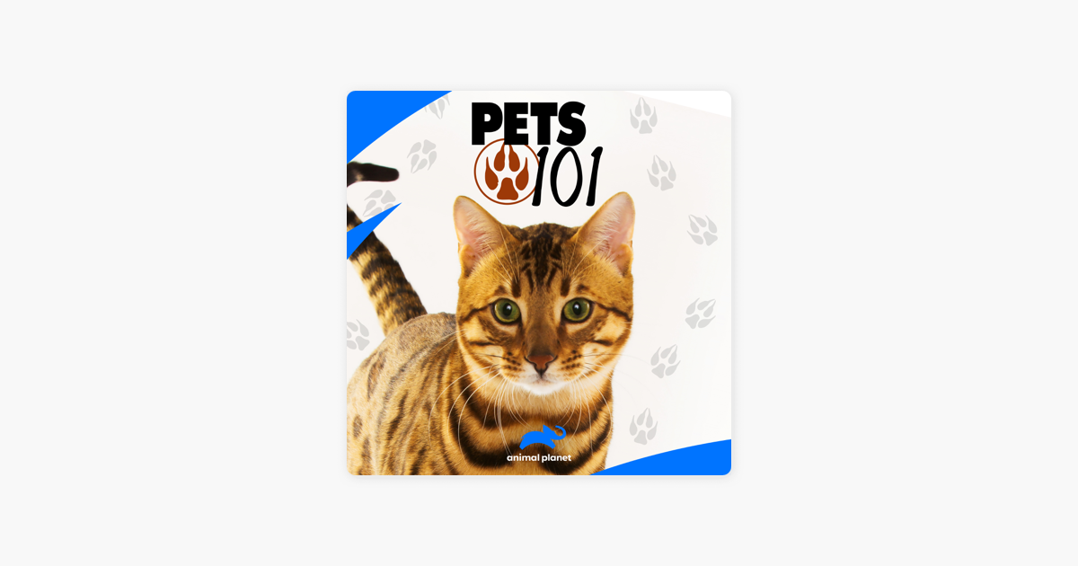 ‎Pets 101, Season 2 on iTunes