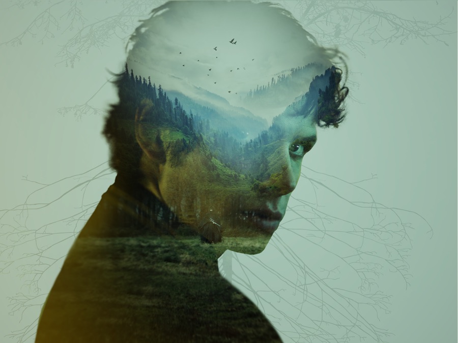 The Mental State - Apple TV