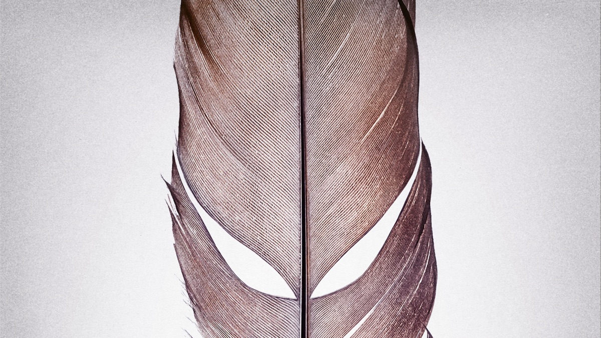 ‎Tickled - Apple TV