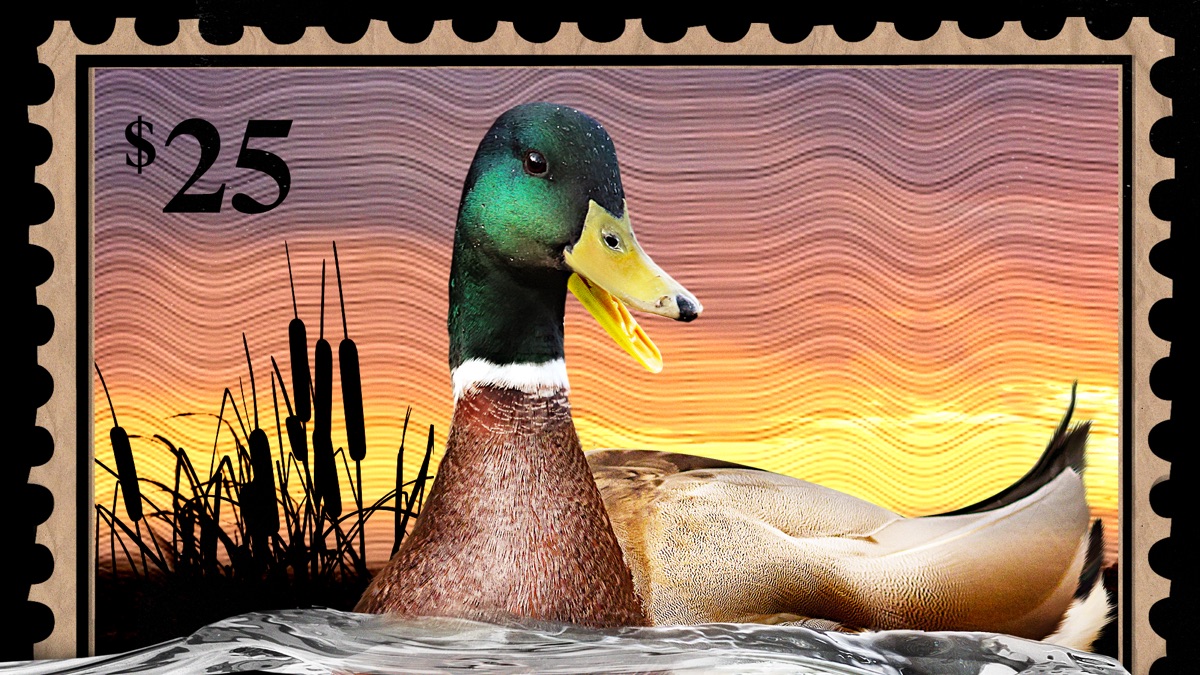 ‎The Million Dollar Duck - Apple TV