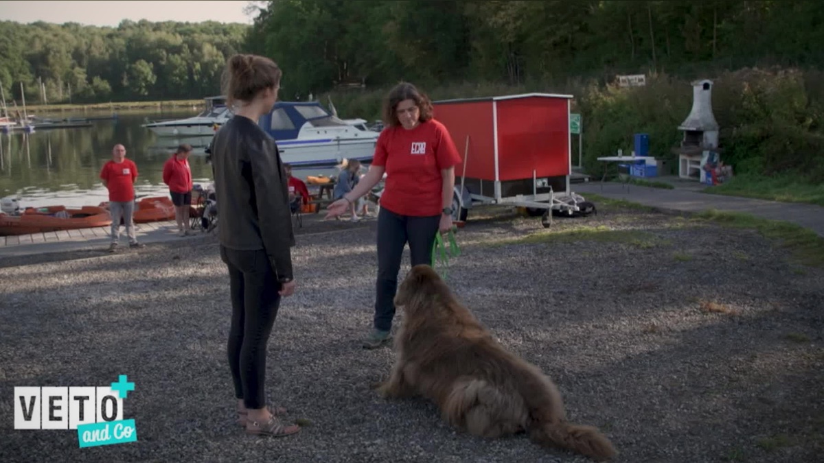 Episode 1 - Véto & Co (saison 6, épisode 1) - Apple TV (FR)