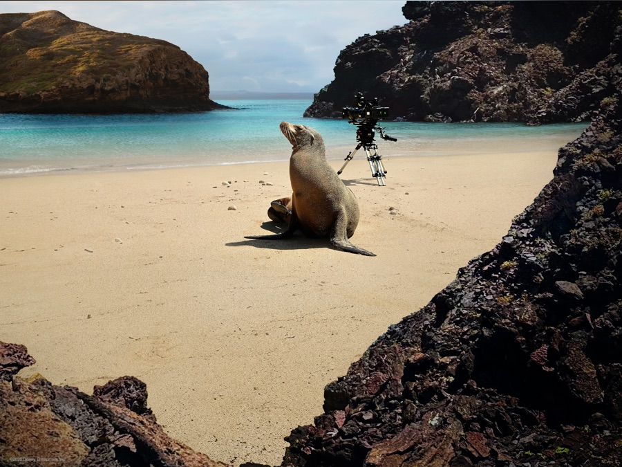 Guardians of the Galapagos - Apple TV