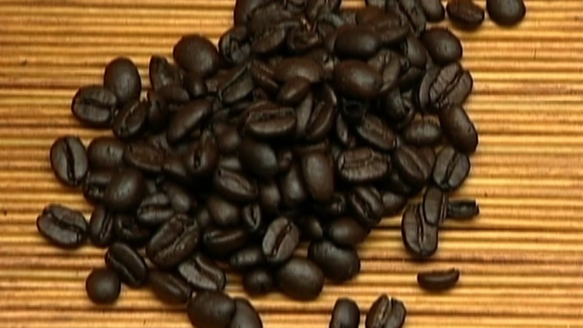 The Story of Coffee: The History of Coffee & How to Make the Perfect ...