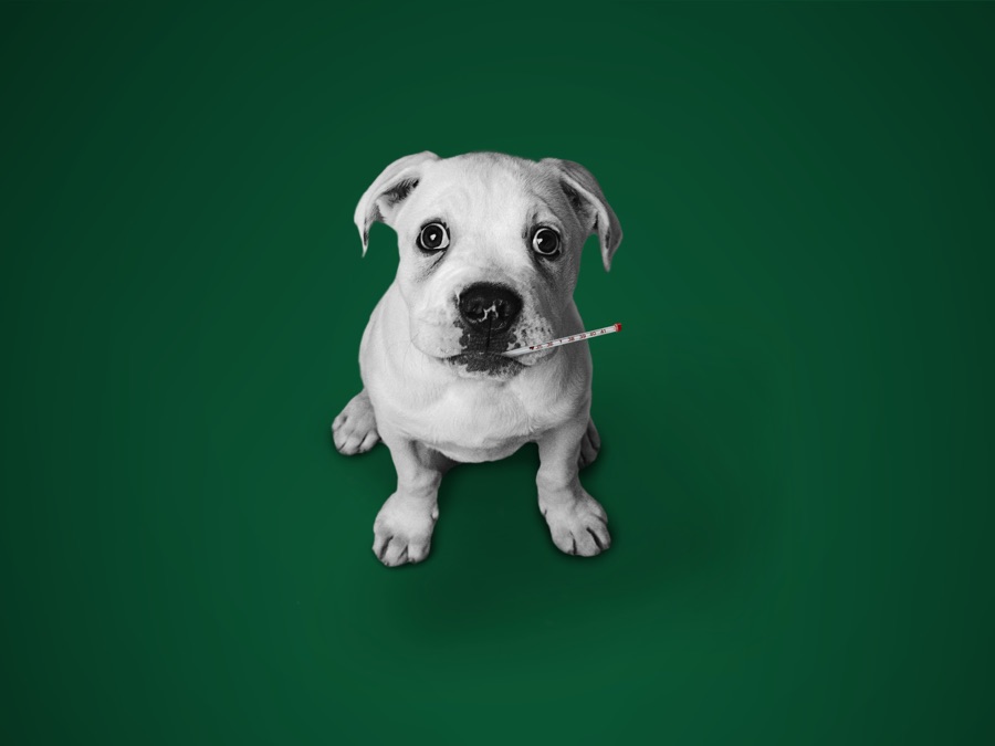 The Supervet - Apple TV (AU)