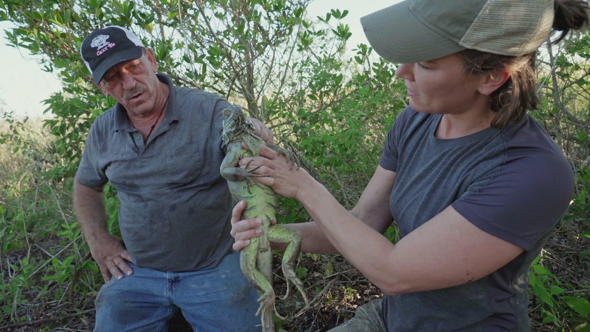 Scorched - Swamp People: Serpent Invasion (Series 4, Episode 5) - Apple ...