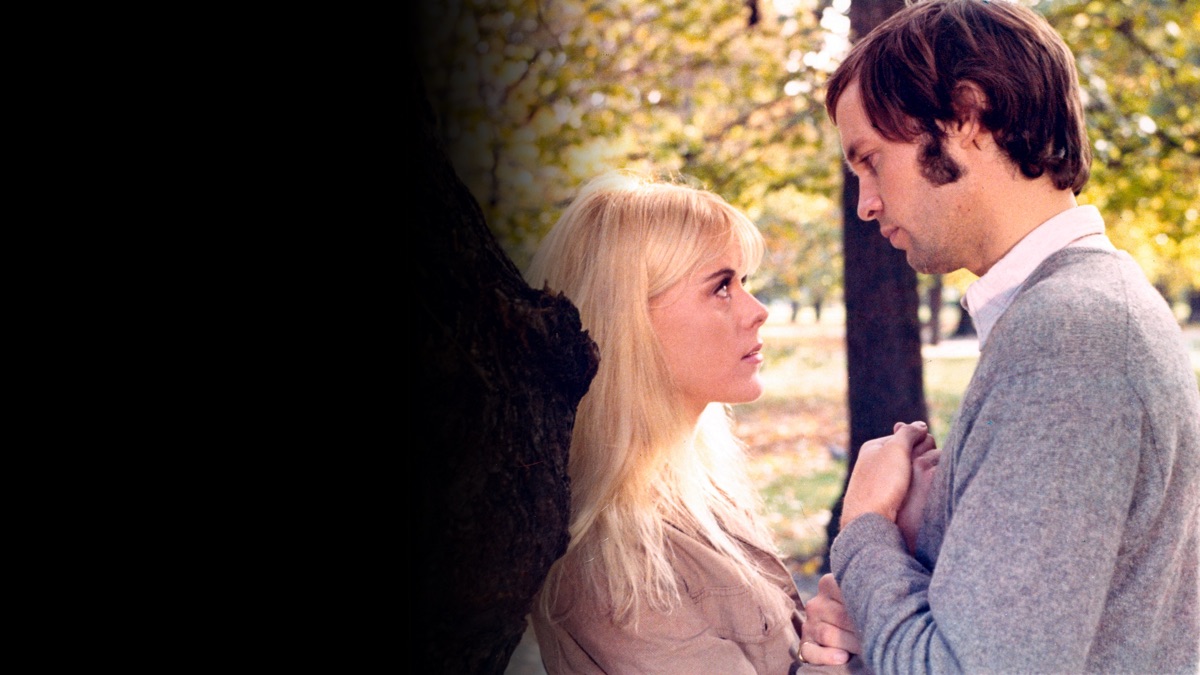 Swedish Wildcats - Apple TV