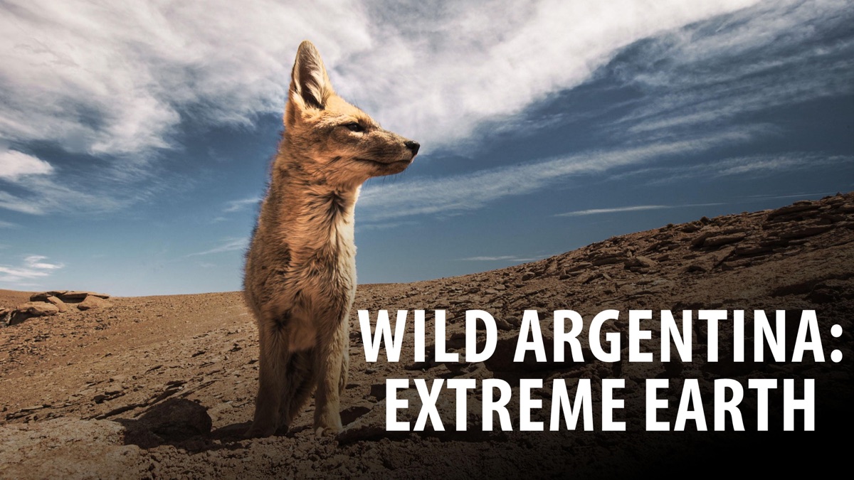 ‎Wild Argentina: Extreme Earth - Apple TV