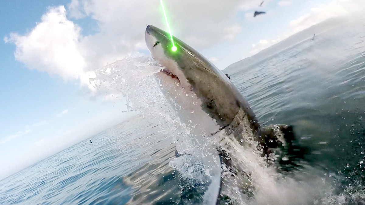 Alien Shark - Alien Shark (Season 1, Episode 1) - Apple TV
