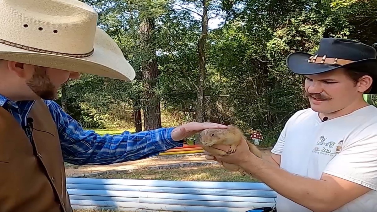 All Types of Animals for Kids – Amazing Animals with Cowboy Jack ...