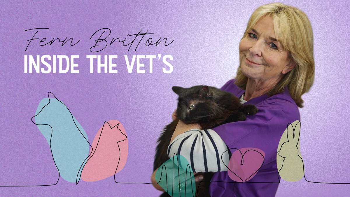 ‎Fern Britton: Inside the Vet's - Apple TV