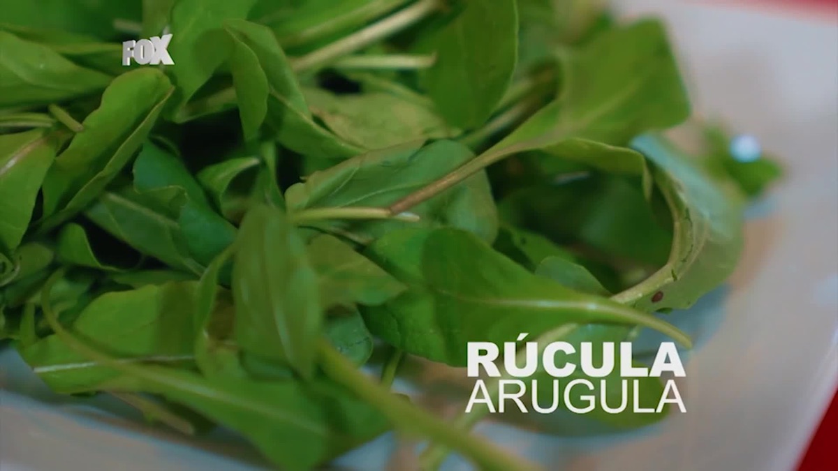 Fox Fit: Cuidado físico, rutinas y tips 16 - Apple TV (MX)